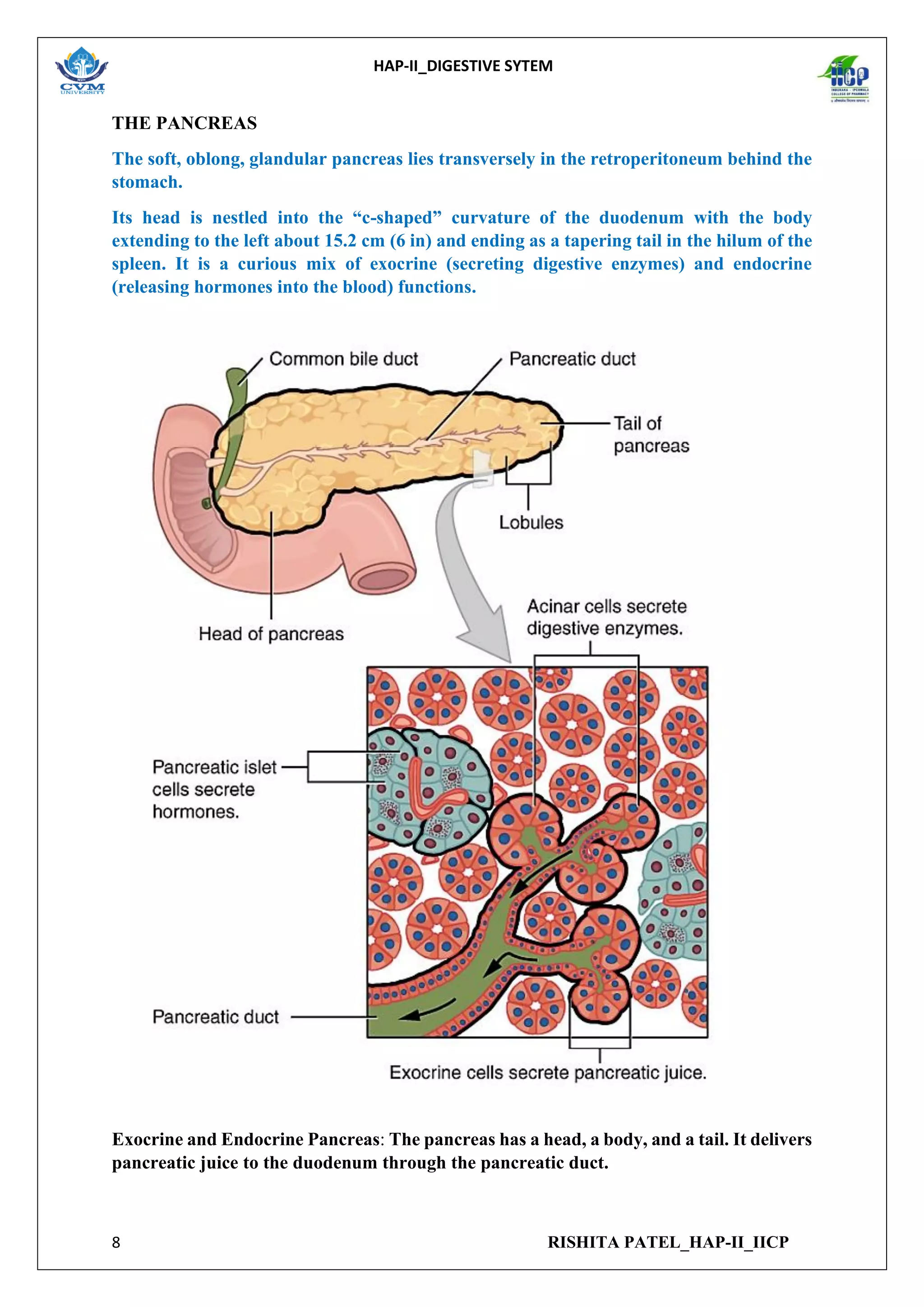 Accesory organs_RDP.pdf
