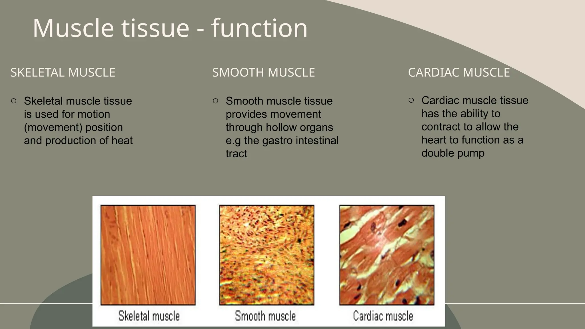 Access to HE - Tissue types and Classification | PPTX