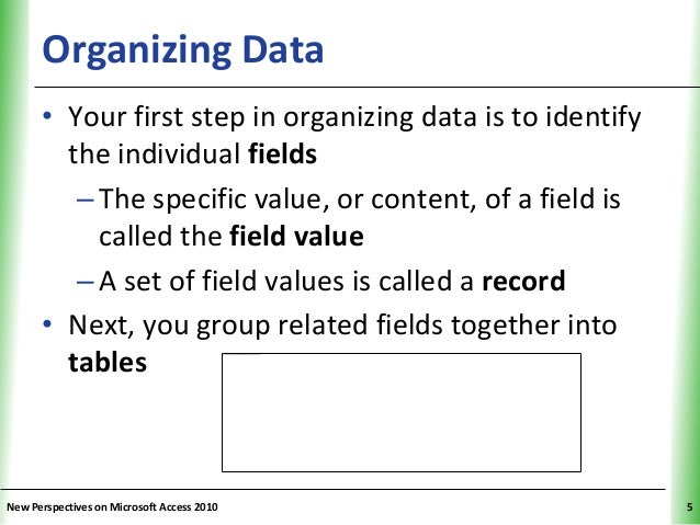 basic database concepts