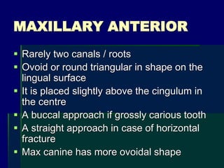access cavity.ppt