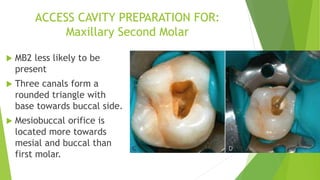 access cavity preparation in upper and lower teeth. pdf | PPT