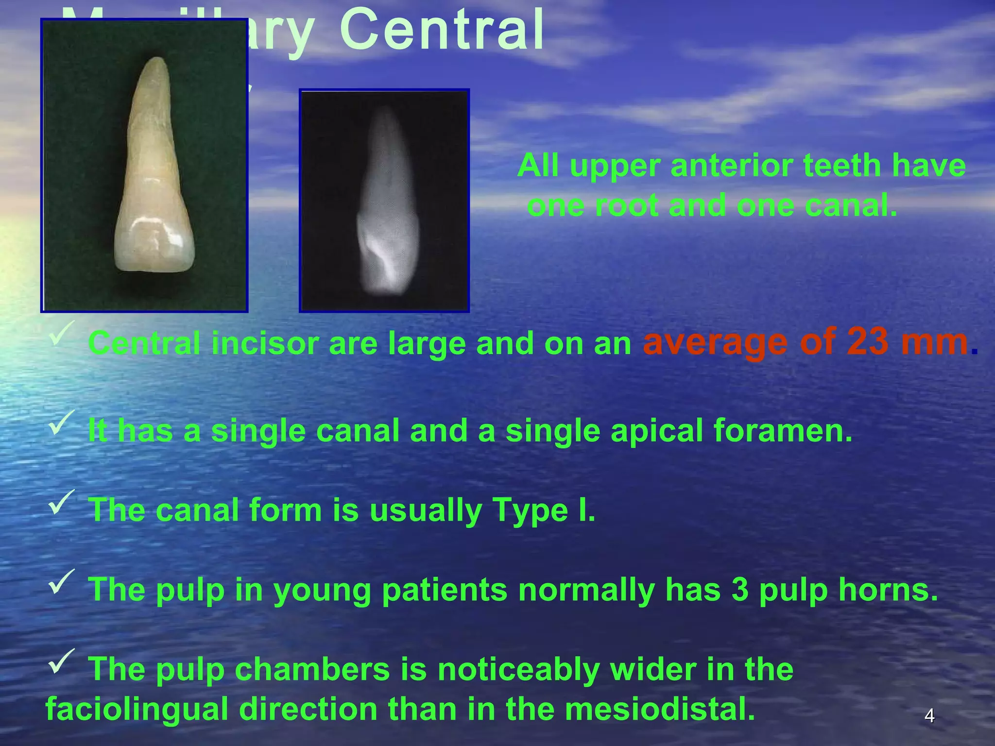 Access cavity preparation | PPT