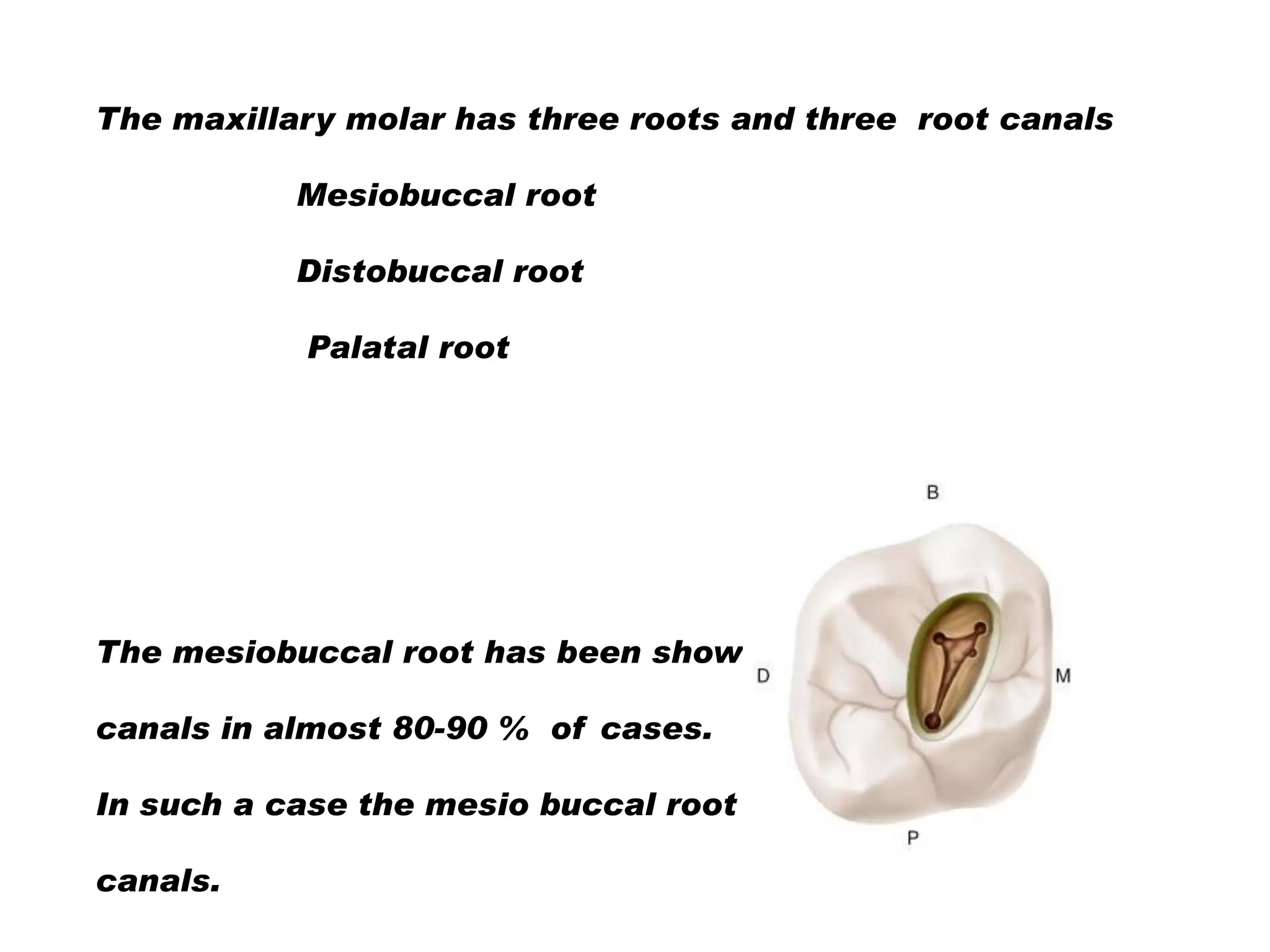 Access cavity preparation | PDF