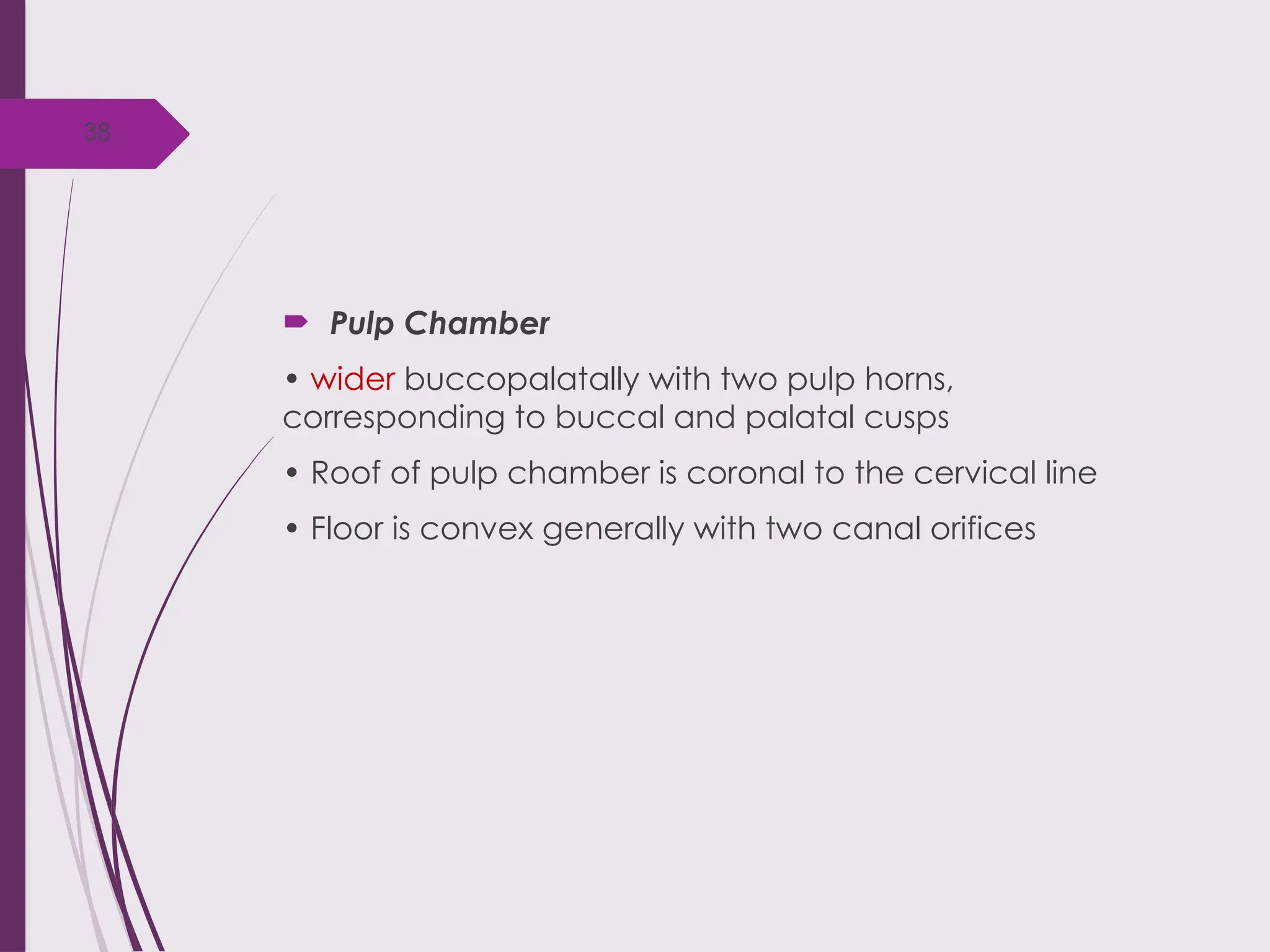 access cavity preparation and anatomy of pulp | PPT