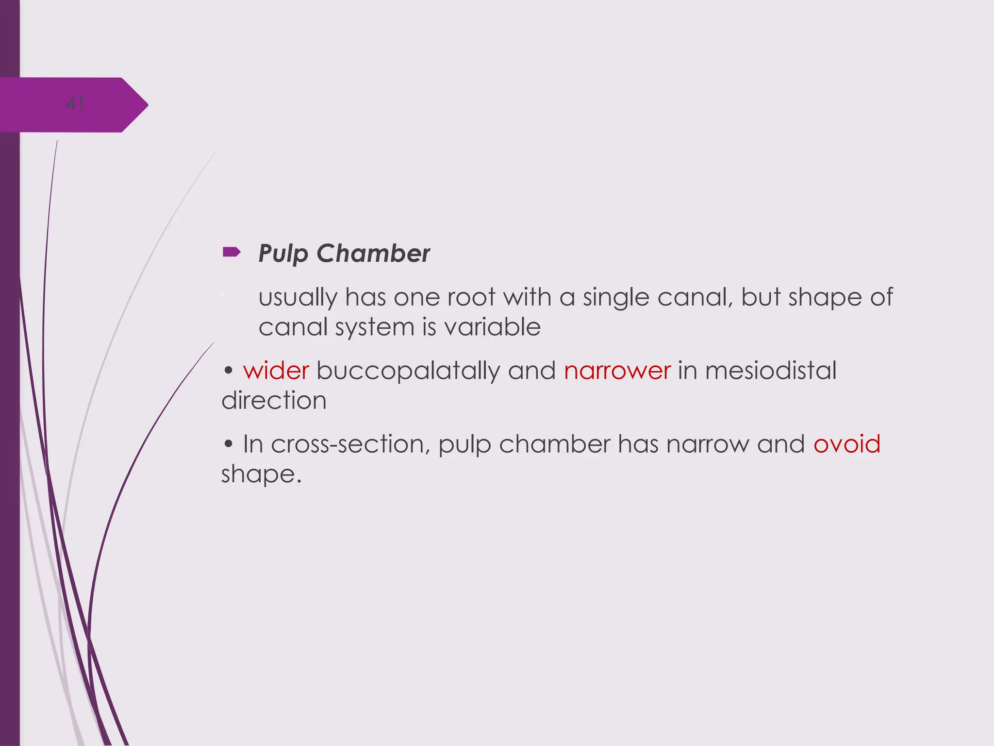 access cavity preparation and anatomy of pulp | PPT
