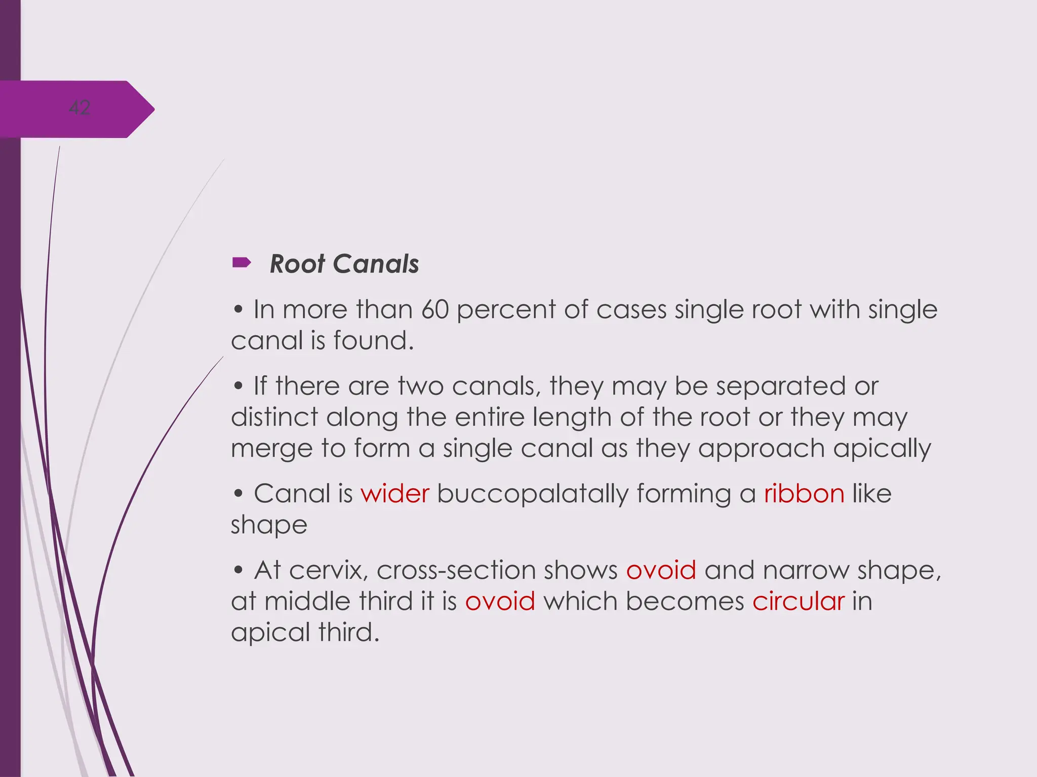 access cavity preparation and anatomy of pulp | PPT