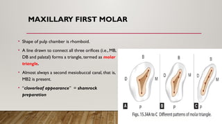 Access Cavity Preparation (2).pptxin endodontic | PPT