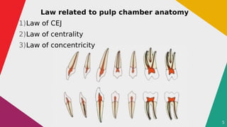 Access cavity preparation in posterior teeth | PDF | Dental Health ...