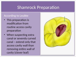 Endodontic access cavity preparation design | PPT