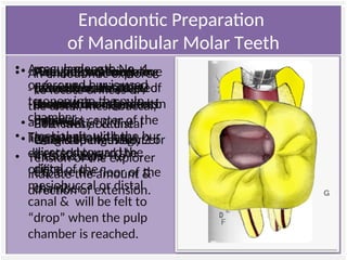 Endodontic access cavity preparation design | PPT