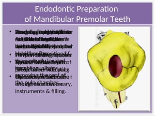 access cavity preparation and design features | PPT