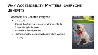 Accessibility & Universal Design for Learning in Online Teaching | PPT