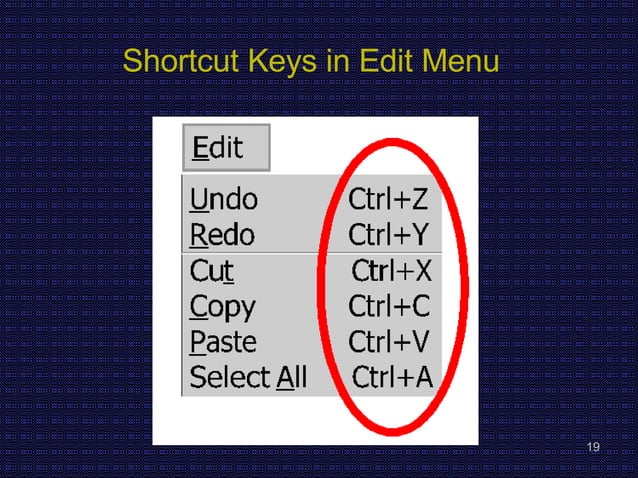 Accessible Java Application User Interface Design Guidelines | PPT