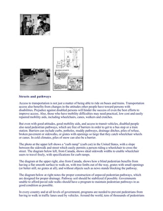 Accessible Public Transportation Handbook | PDF