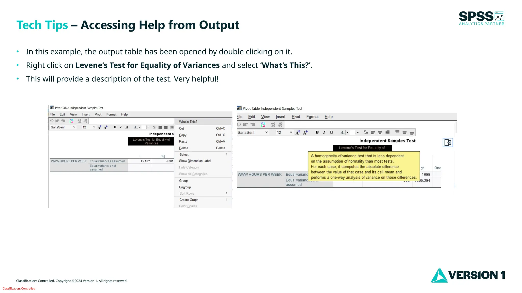 Accessing Help from IBM SPSS Statistics Output.pptx