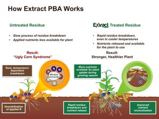 Accessing the Full Nutrient Value of Crop Residue | PPT