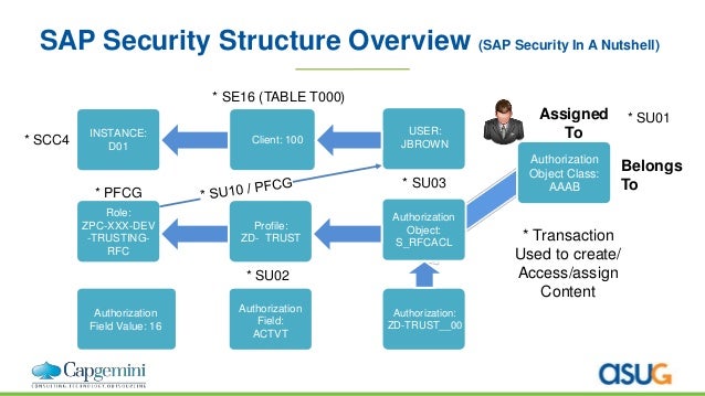 "ACCESS"ing Your SAP Security Data