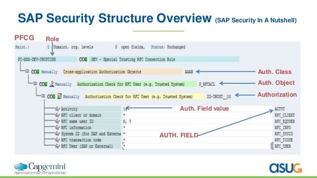 "ACCESS"ing Your SAP Security Data