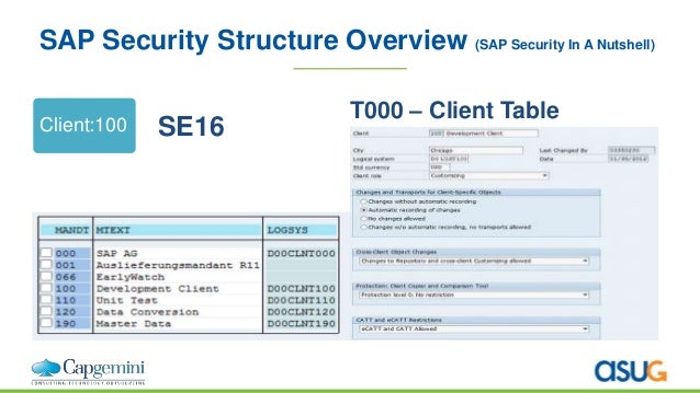 "ACCESS"ing Your SAP Security Data