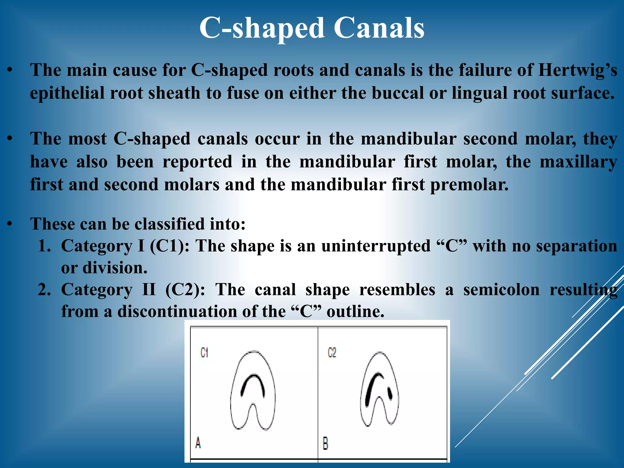 Access opening of molar teeth | PDF