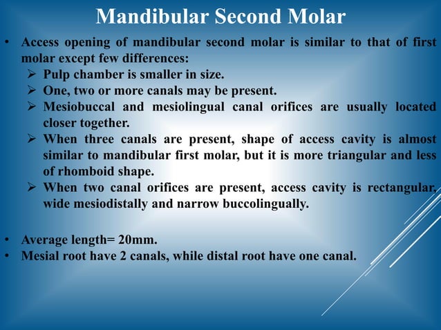 Access opening of molar teeth | PDF