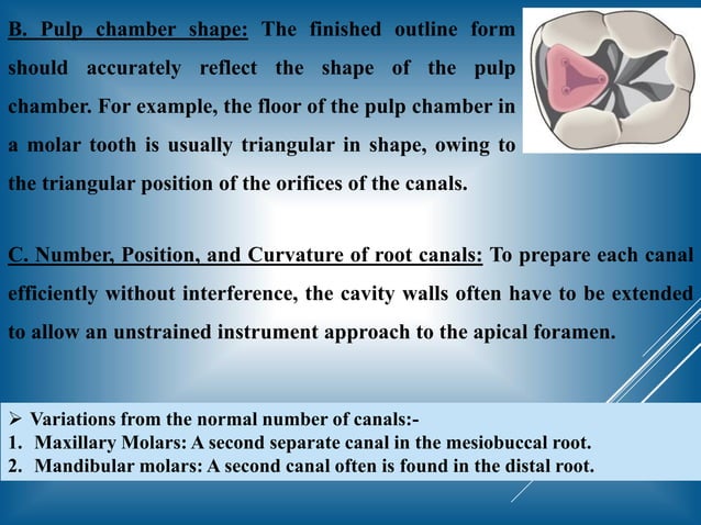 Access opening of molar teeth | PDF