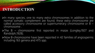 Accessory Chromosome.pptx