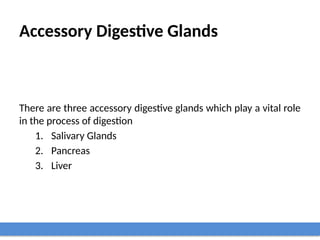 Accessory digestive glands.pptx presentation | PPT