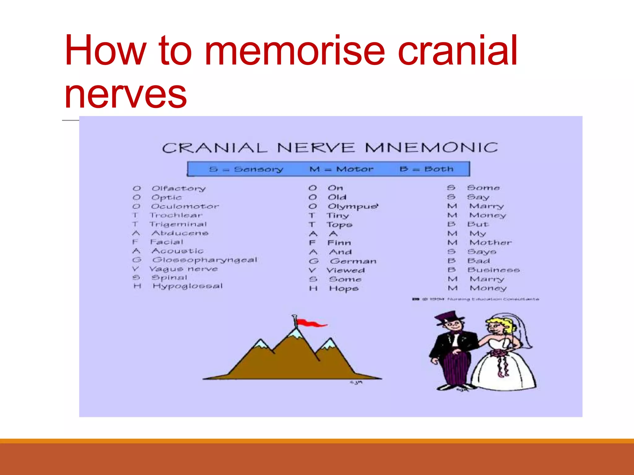 Accessory & hypoglossal nerves | PPTX