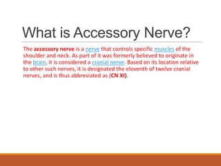 Accessory & hypoglossal nerves | PPTX