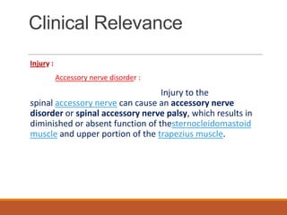 Accessory & hypoglossal nerves | PPTX