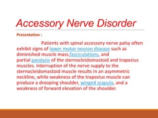 Accessory & hypoglossal nerves | PPTX