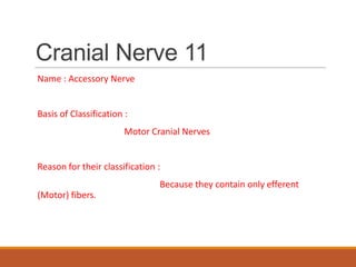 Accessory & hypoglossal nerves | PPTX