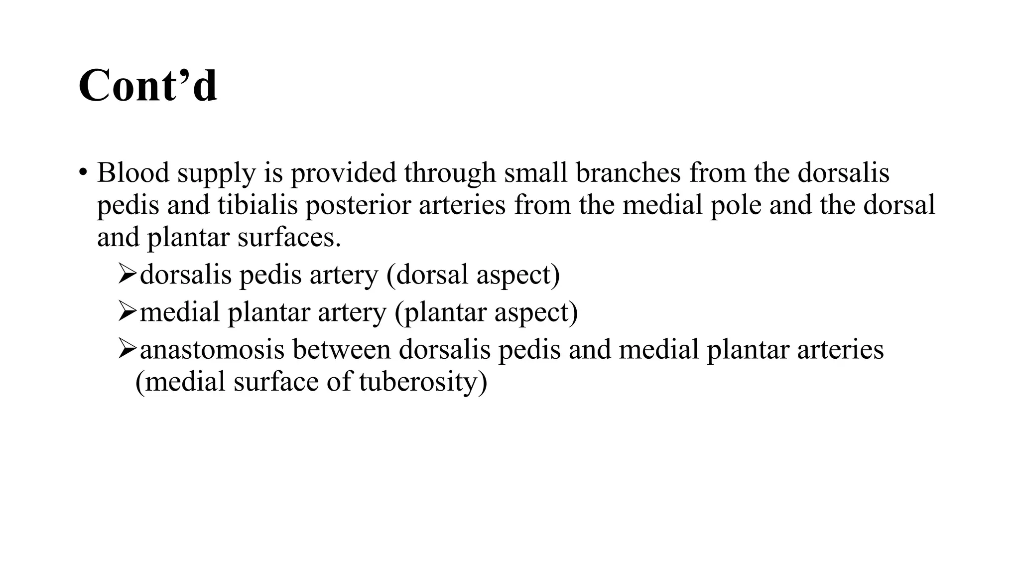 Accessory Navicular Bone.pptx