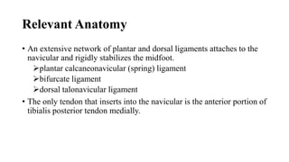 Accessory Navicular Bone.pptx