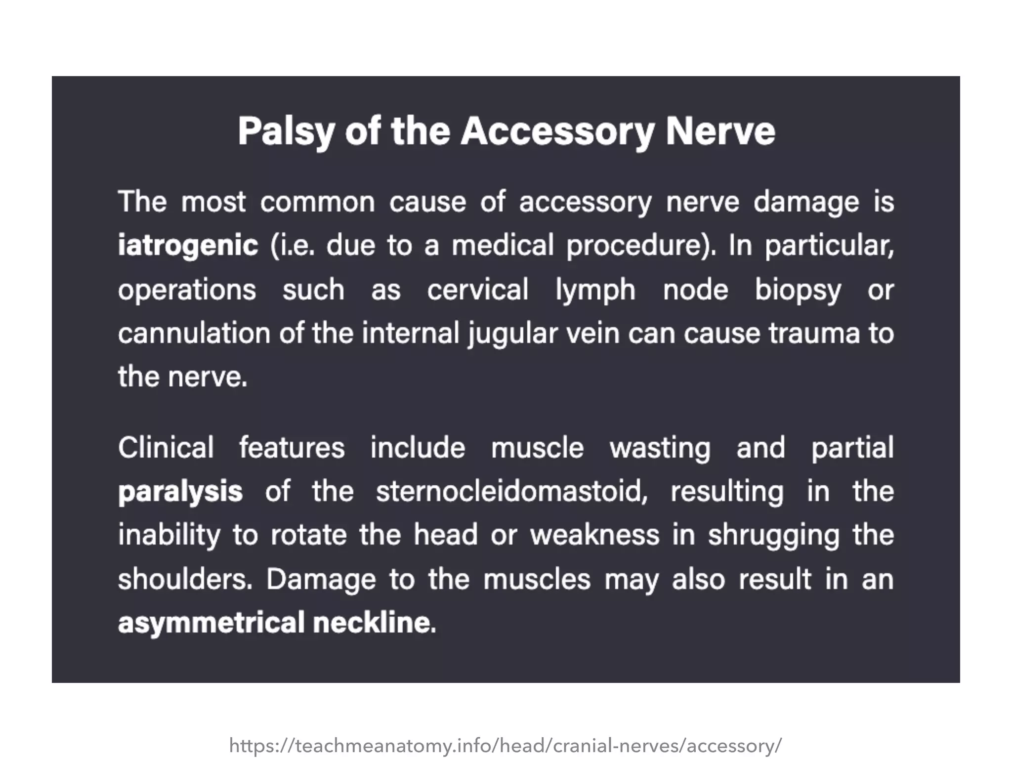 Accessory nerve | PDF
