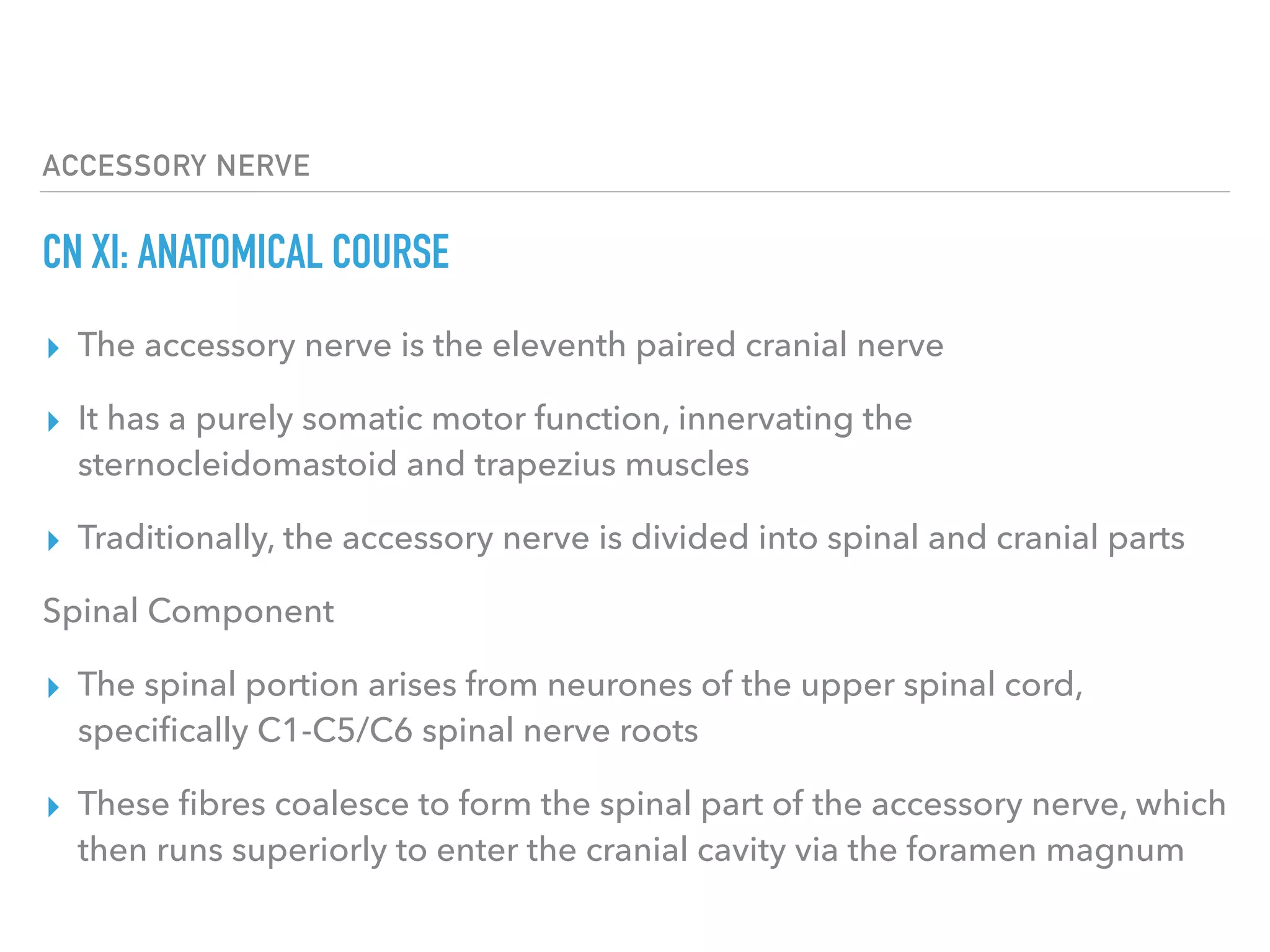 Accessory nerve | PDF