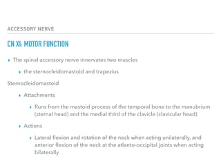 Accessory nerve | PDF