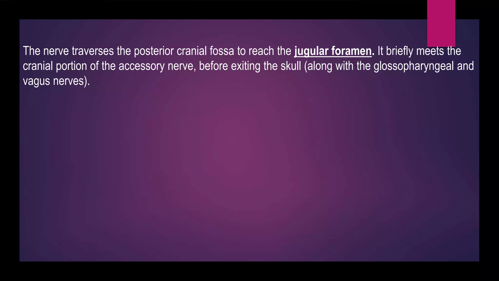 Accessory nerve xi | PPTX