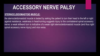 Accessory nerve xi | PPTX