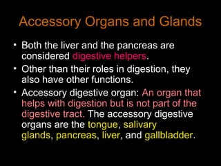 Accessory organs & glands | PPT
