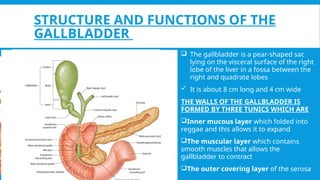 ACCESSORY ORGANS OF DIGESTIVE SYSTEM.pptx