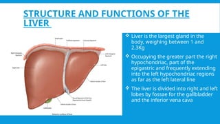 ACCESSORY ORGANS OF DIGESTIVE SYSTEM.pptx