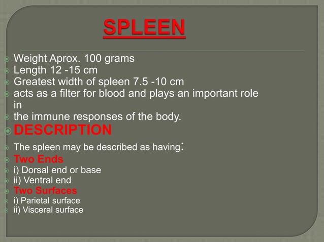 Accessory organs of digestive system in goat 111 | PPT