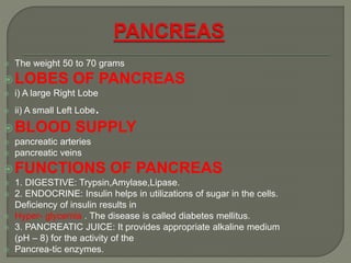 Accessory organs of digestive system in goat 111 | PPT