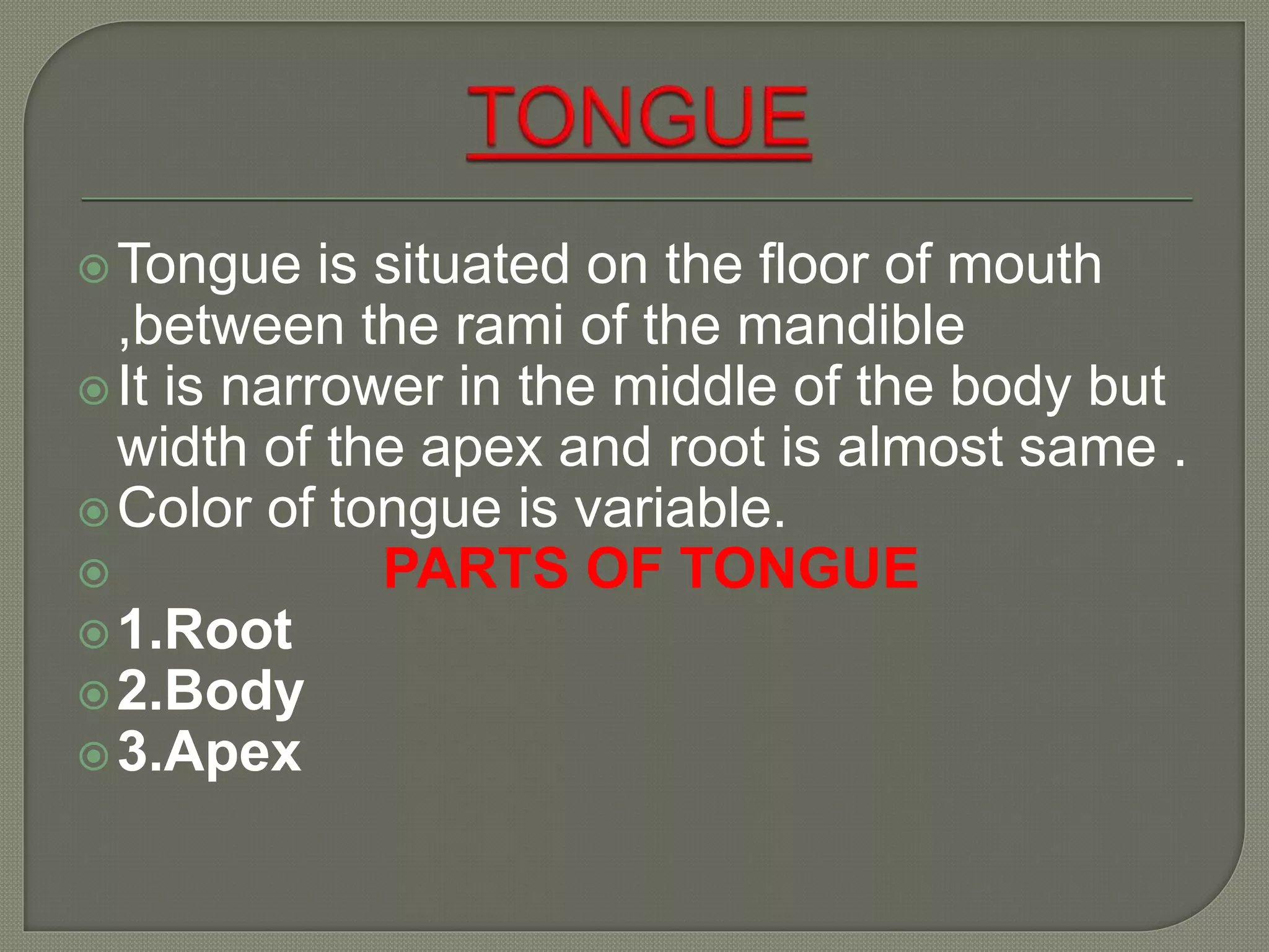 Accessory organs of digestive system in goat | PPTX