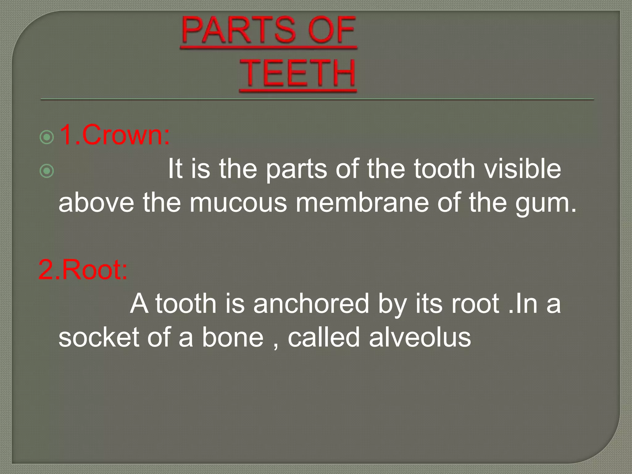 Accessory organs of digestive system in goat | PPTX