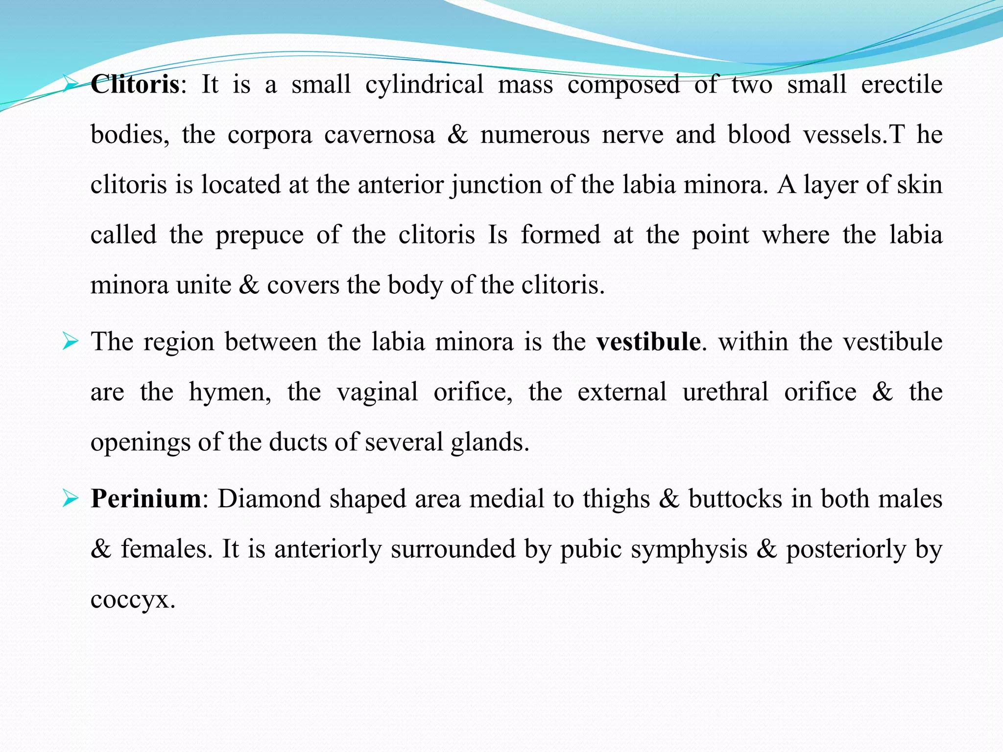 Accessory organs of female reproductive system PART 6 | PPTX