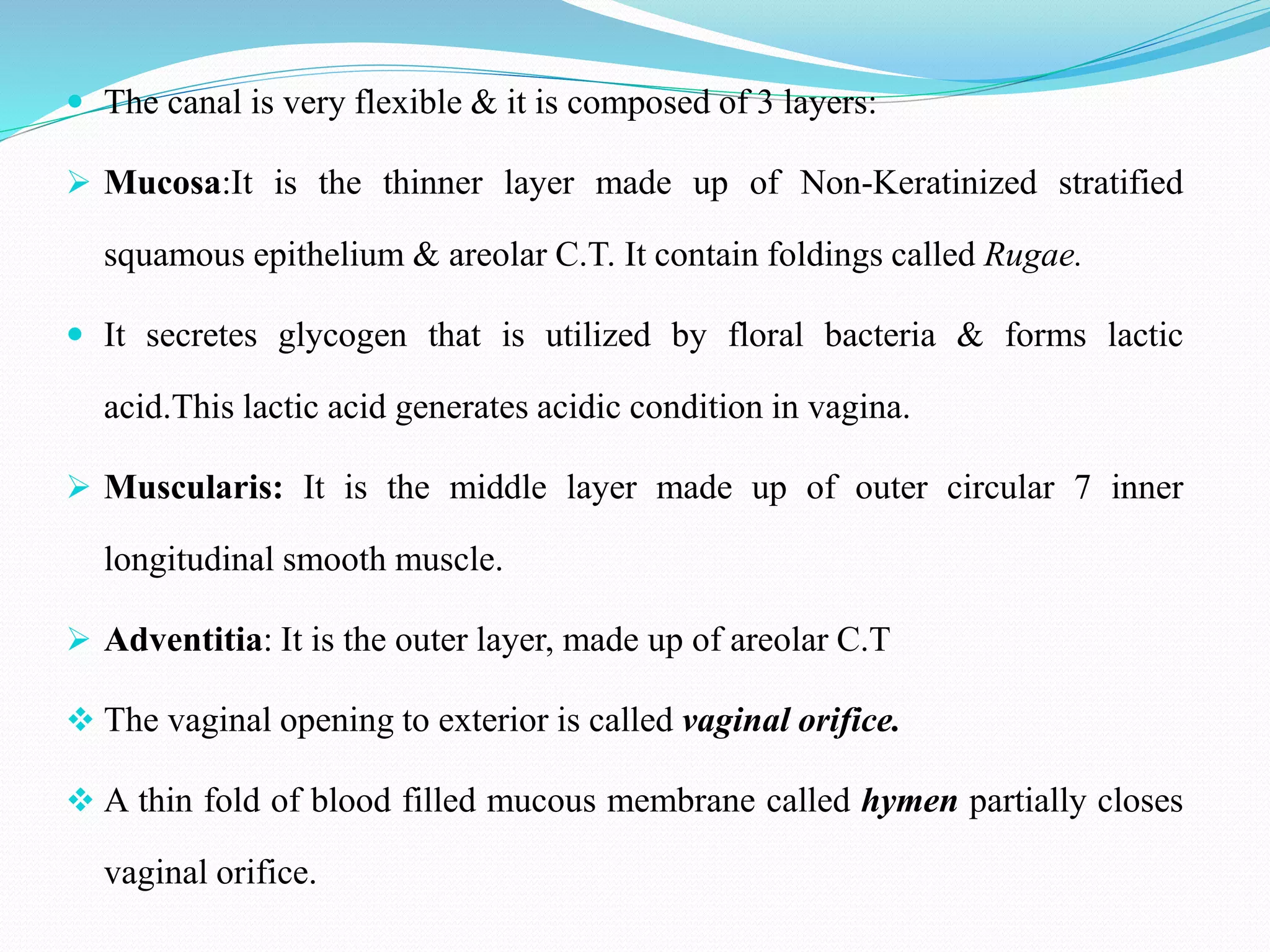 Accessory organs of female reproductive system PART 6 | PPTX