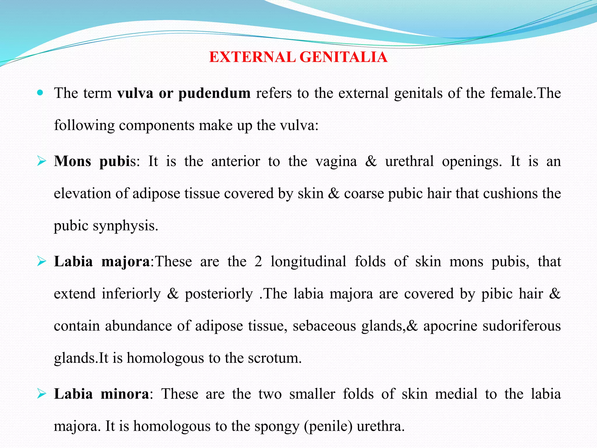Accessory organs of female reproductive system PART 6 | PPTX